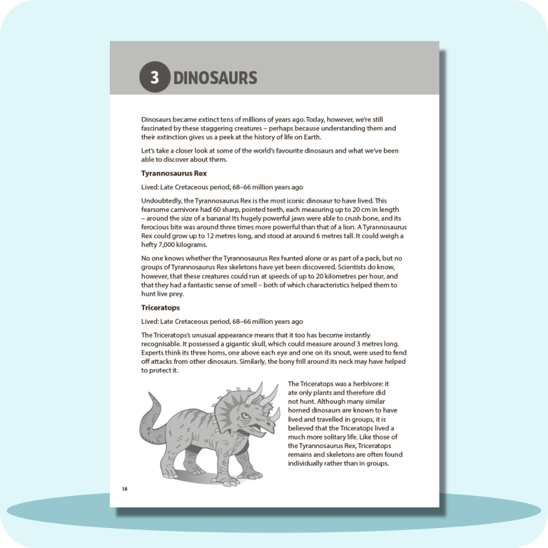 Comprehension Ninja Workbooks – Vocabulary Ninja