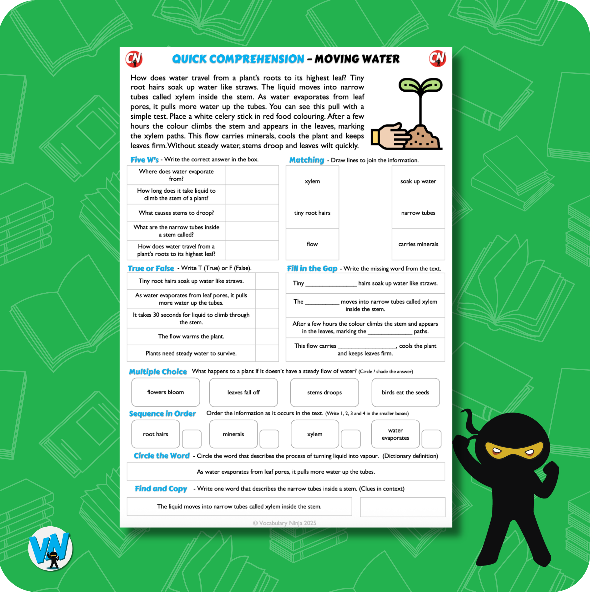 Quick Comprehension Topic Bundle – Y3 Plants – Vocabulary Ninja